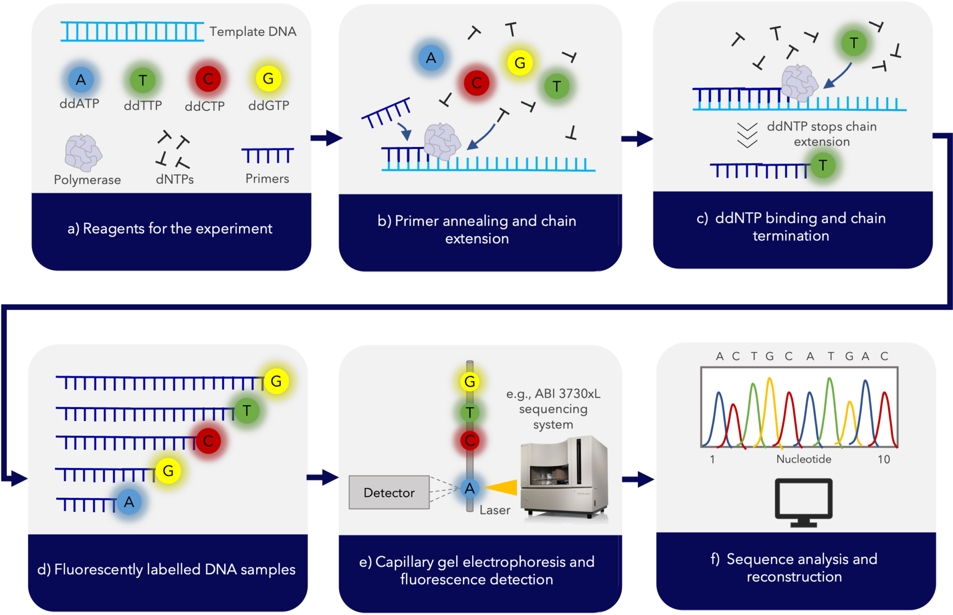 DNAシーケンスの世代の違い