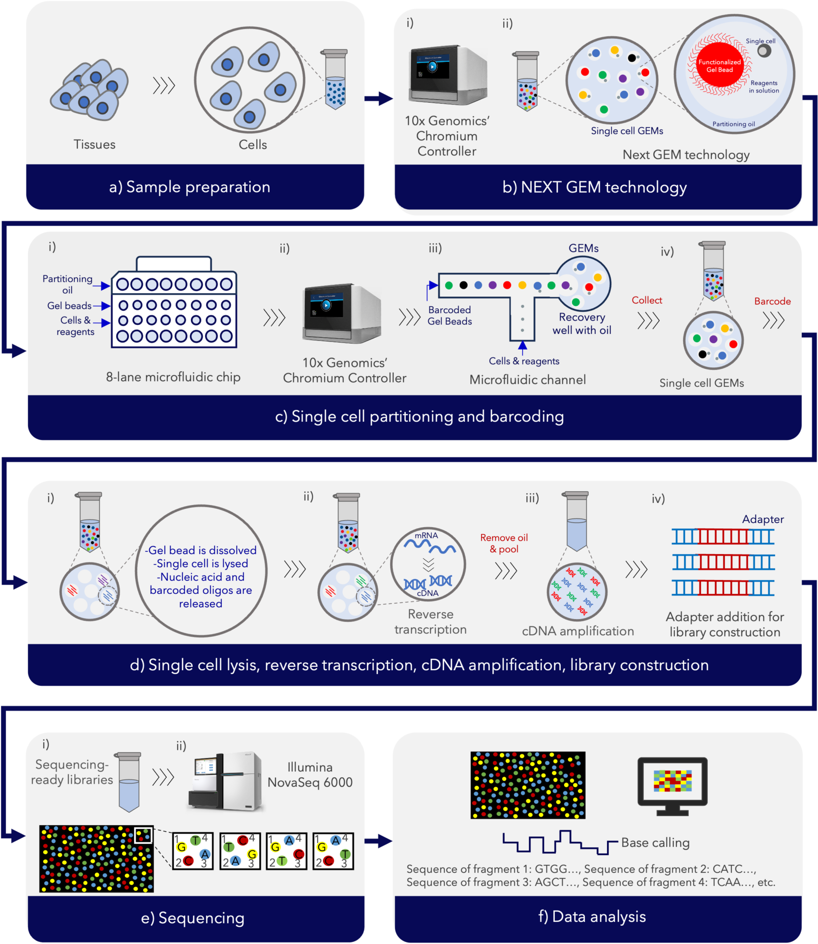 シングルセルRNAシーケンスの仕様とワークフロー