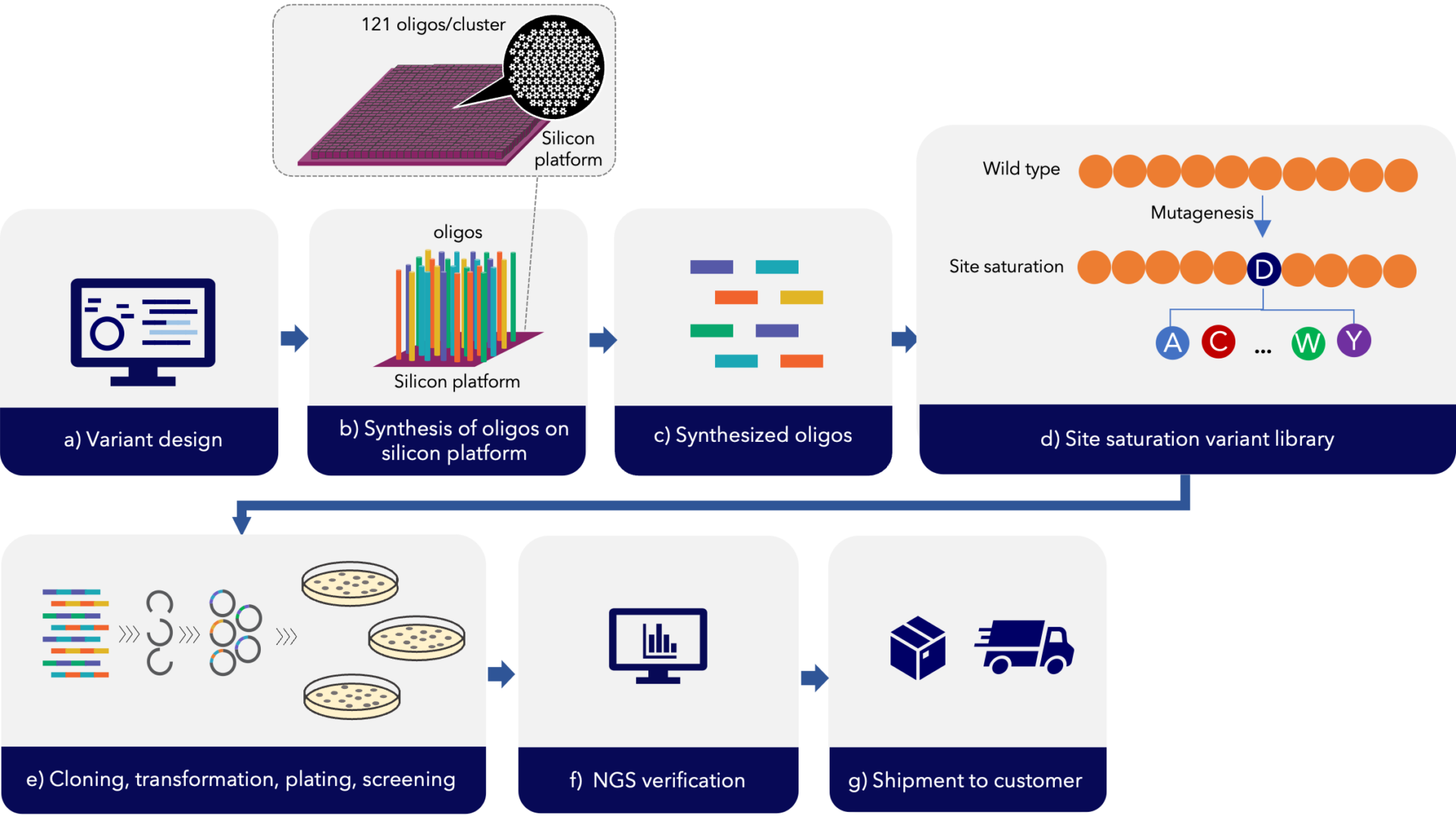 Twist Bioscience’s Site Saturation Variant Libraries
